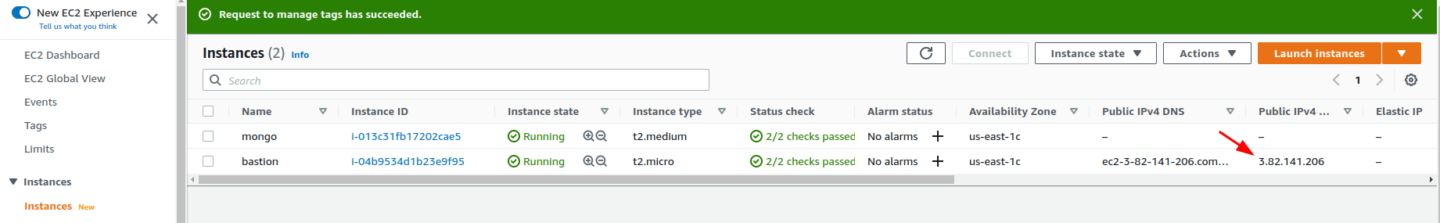 Setup MongoDB | SDK.finance