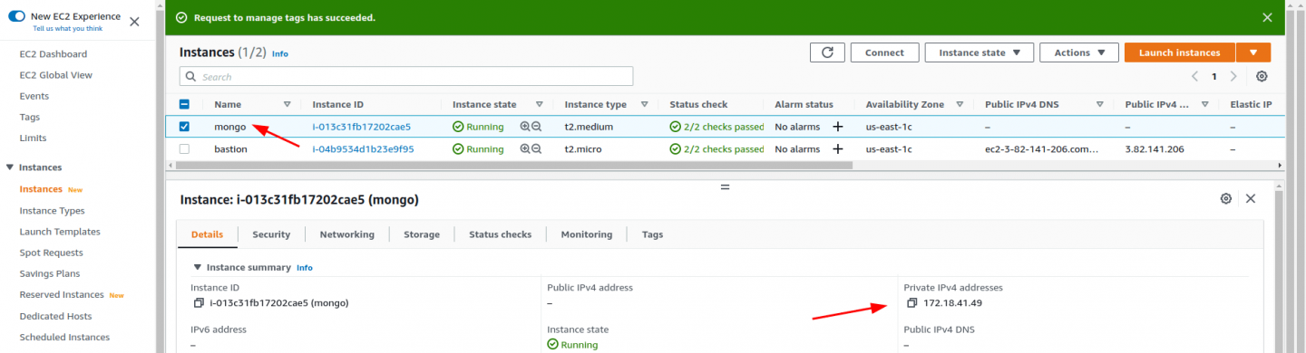 Setup MongoDB | SDK.finance